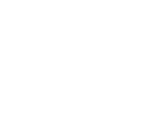 A Brothers Revival with Allman Brothers Band Bassist David "Rook" Goldflies